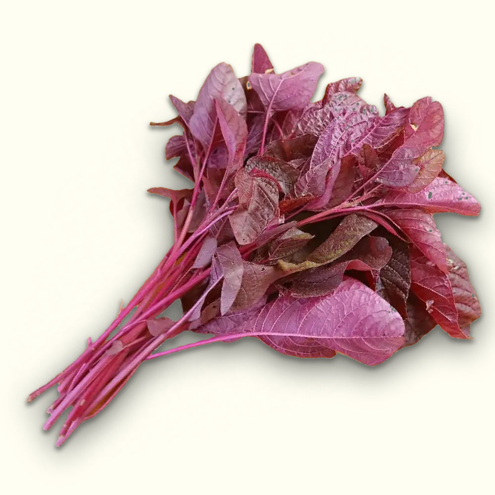 Vlathankara Cheera (Amaranthus) Red Seeds – FreshLeaves Agro Solutions